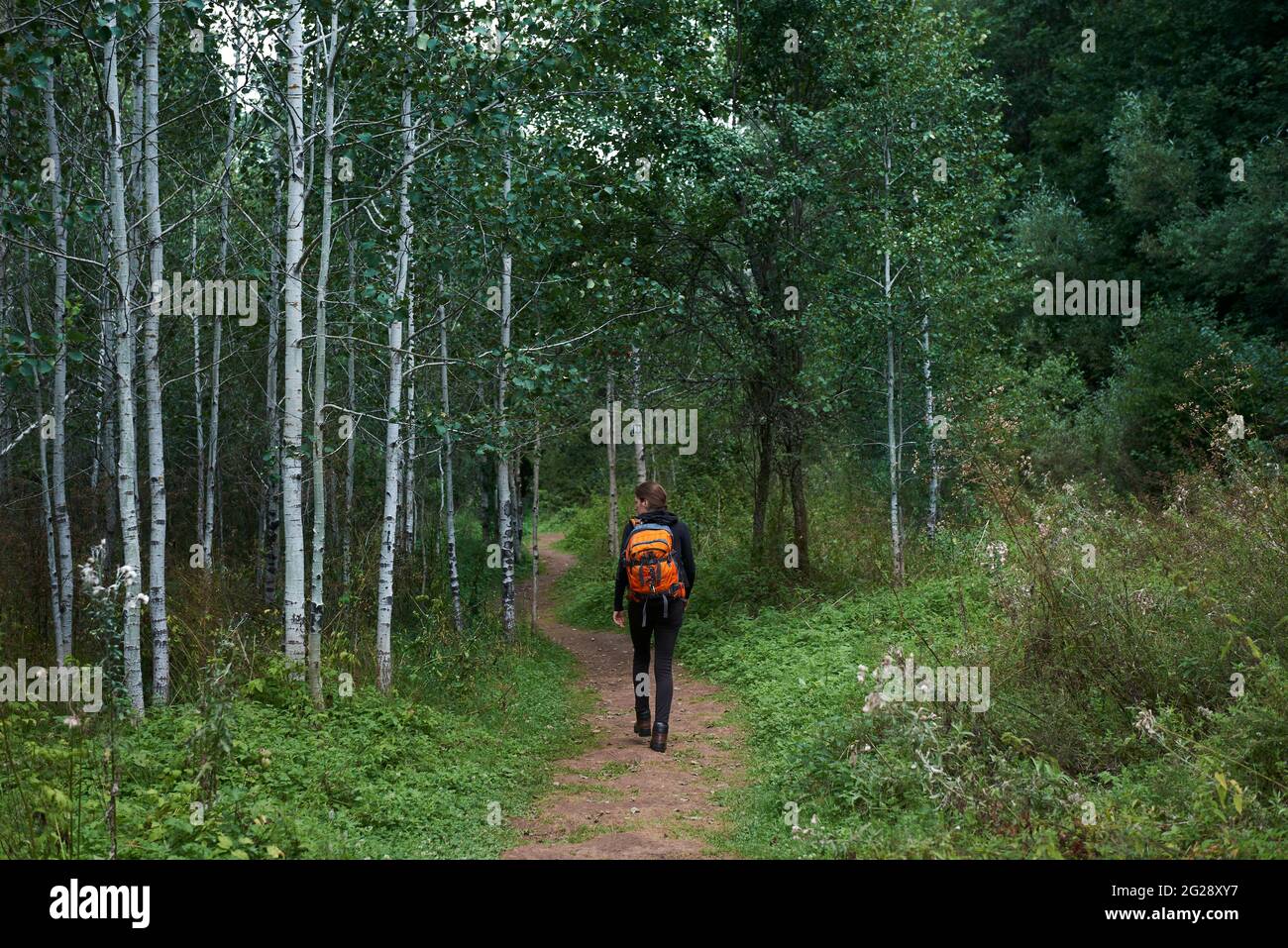 Young woman walking among trees hi-res stock photography and images - Alamy