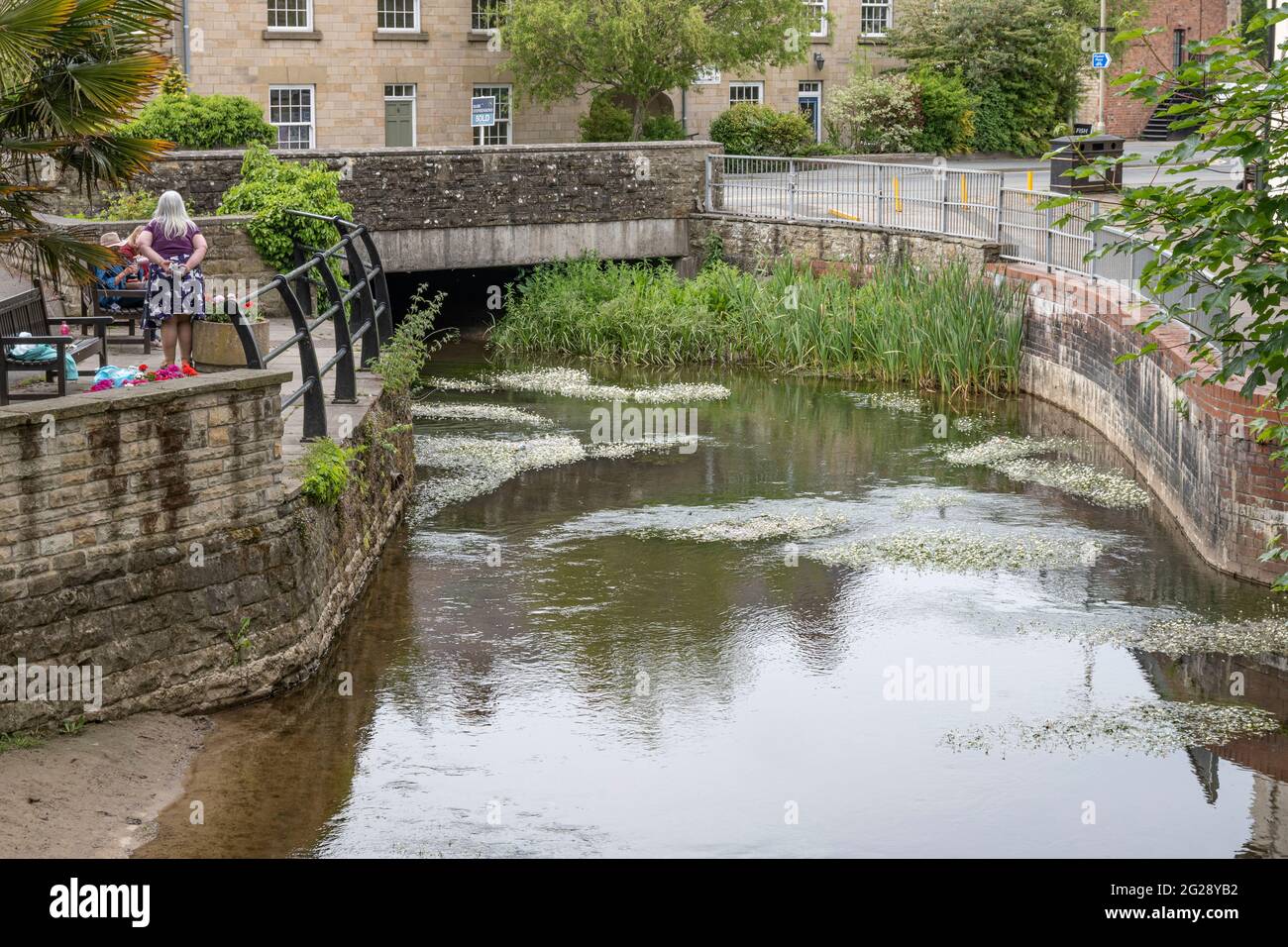 Pickering beck flowing under the bridge that leads to the Coop ...
