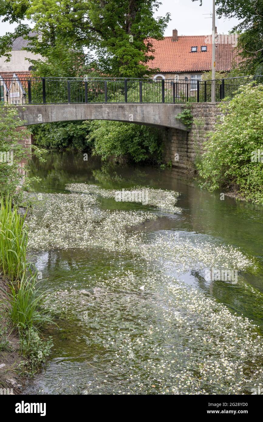 Pickering beck flowing under the bridge that leads to the Coop ...