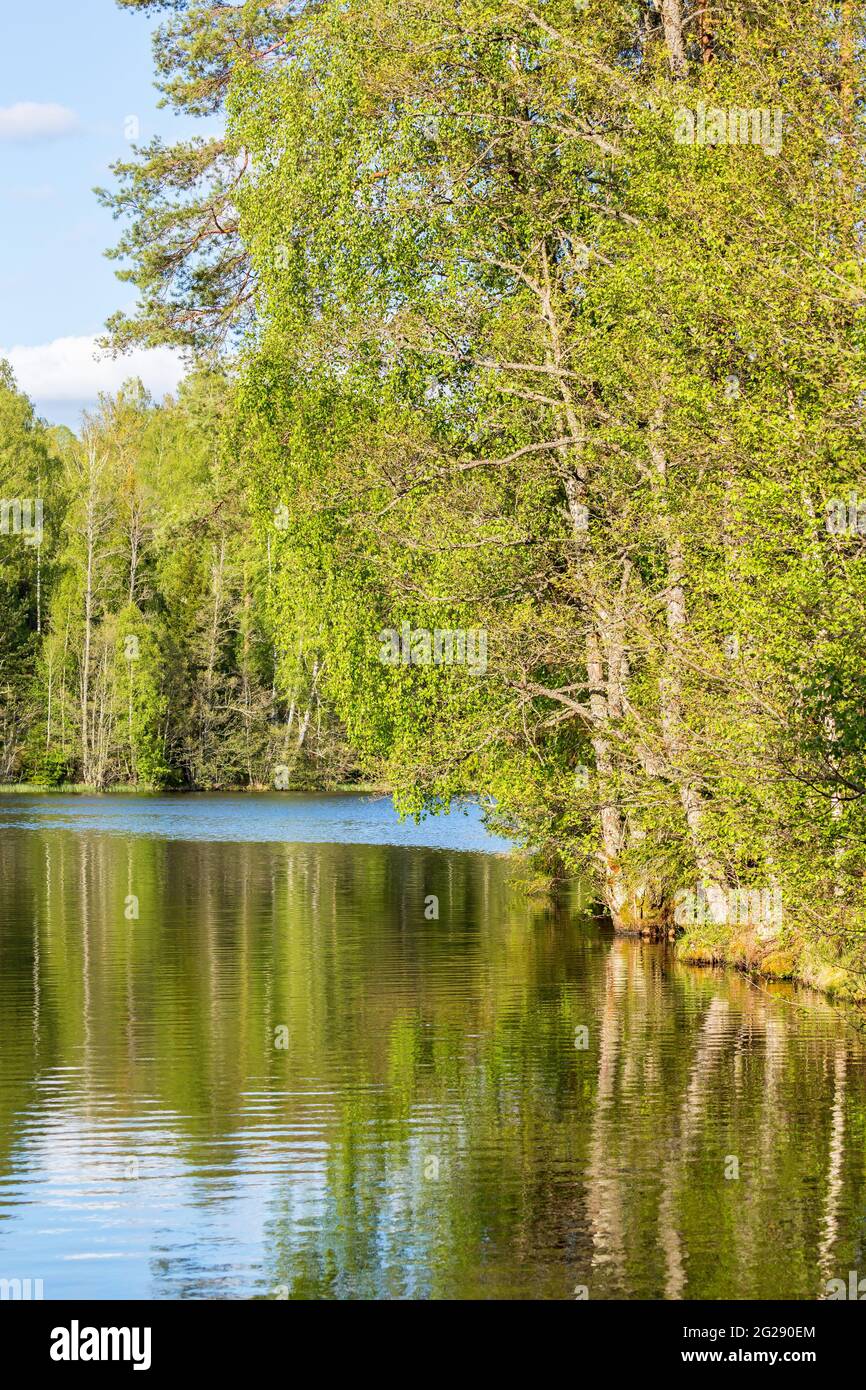 Pond river calm calmness surface of water hi-res stock photography and ...