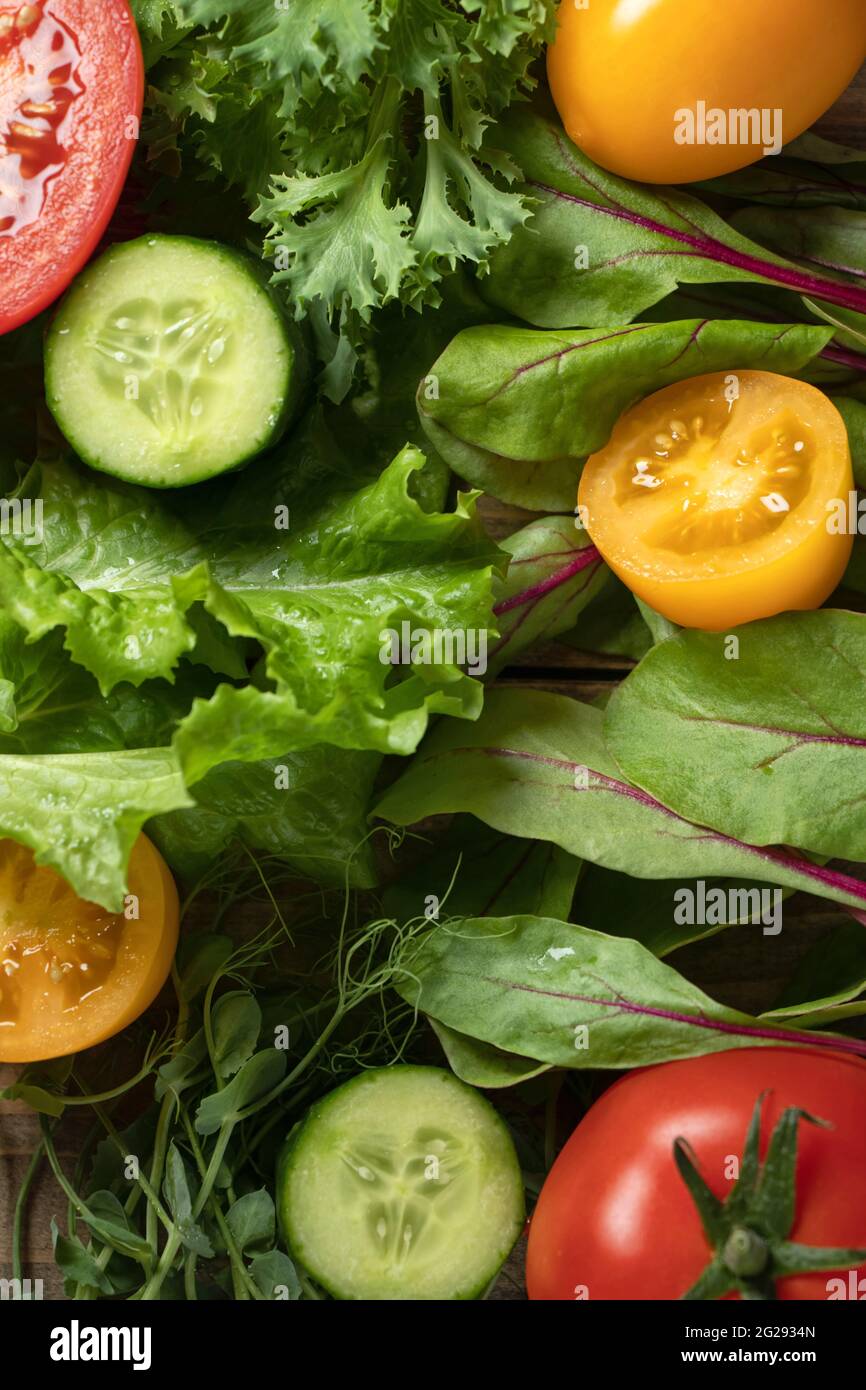 Different types salads cucumbers hi-res stock photography and images ...