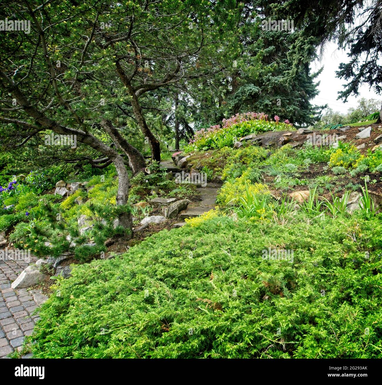 Riley hill hi-res stock photography and images - Alamy