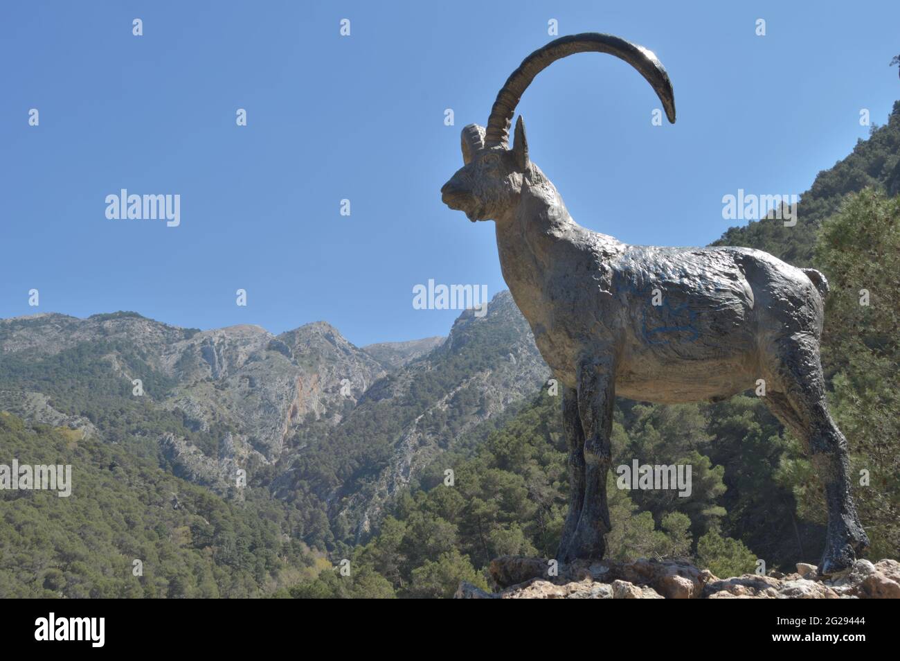 Statue tribute pyrenean iberian goat hi-res stock photography and ...