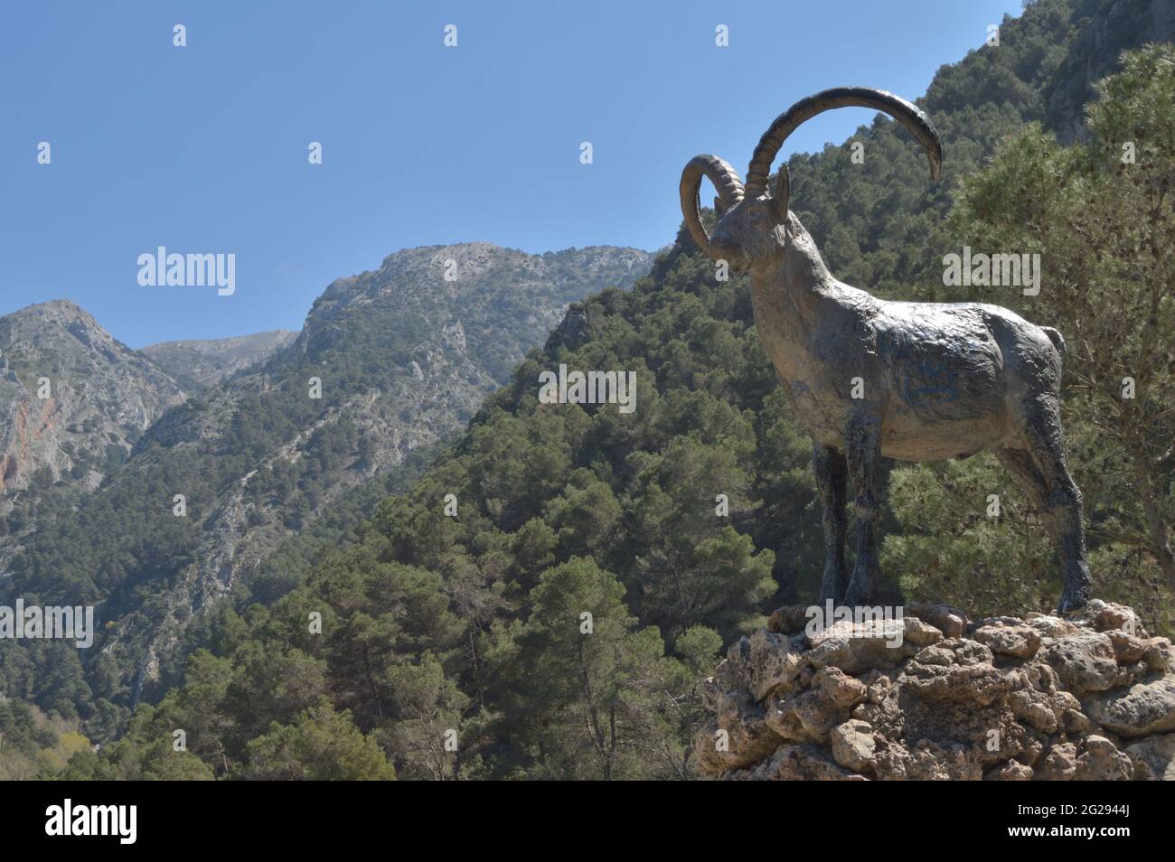 Statue tribute pyrenean iberian goat hi-res stock photography and ...