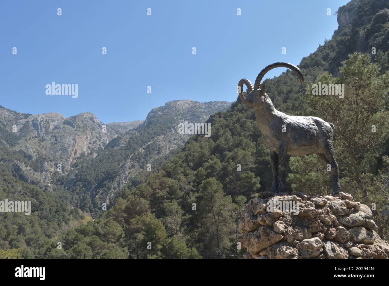 Statue tribute pyrenean iberian goat hi-res stock photography and ...