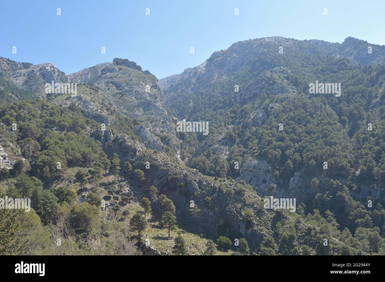 Mountains and trees in Alcazar park natural, Alcaucin, Spain Stock ...
