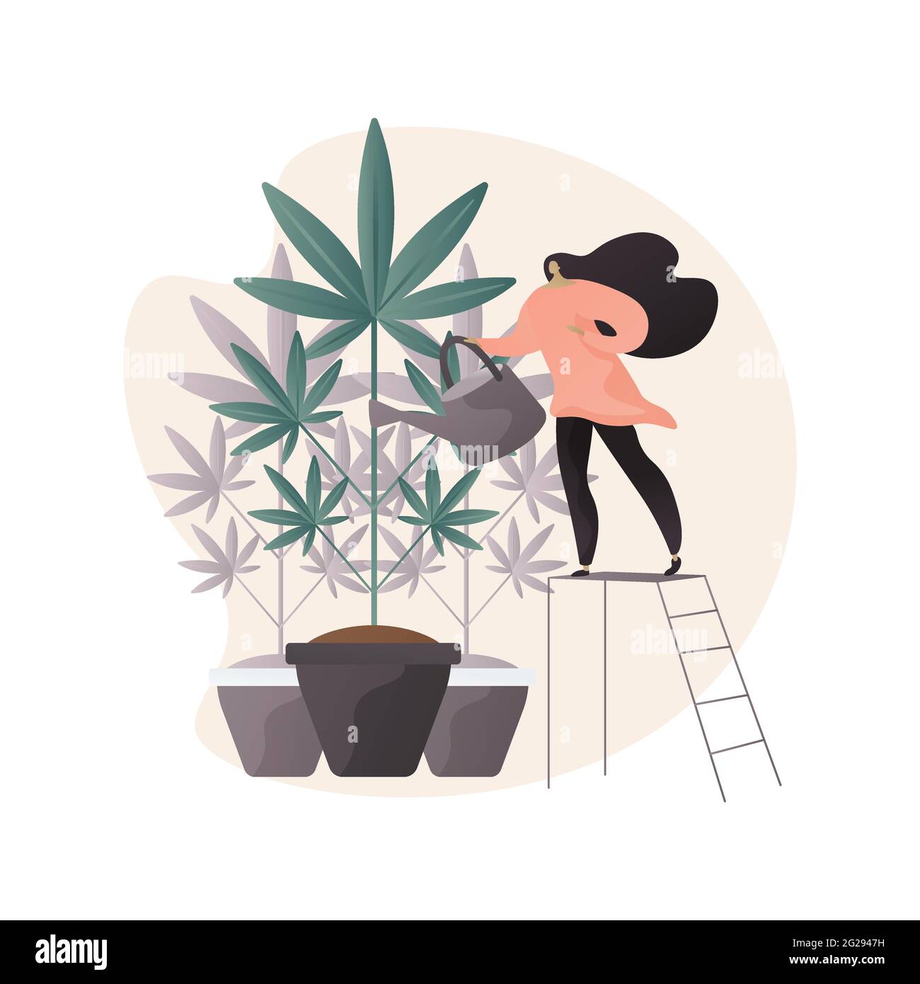 Cannabis cultivation abstract concept vector illustration Stock Vector ... Cannabis cultivation abstract concept vector illustration Stock Vector ...