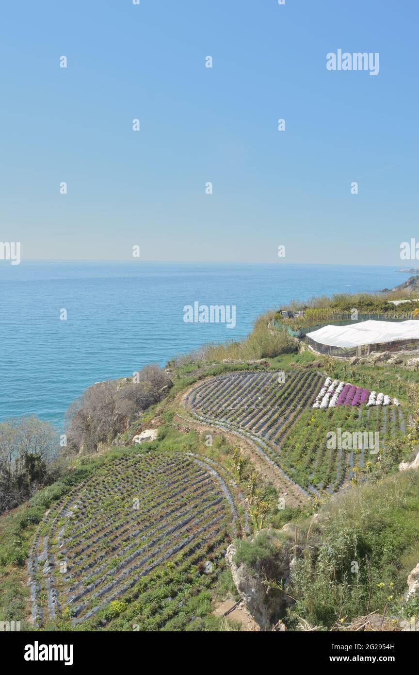 Maro spain hi-res stock photography and images - Alamy