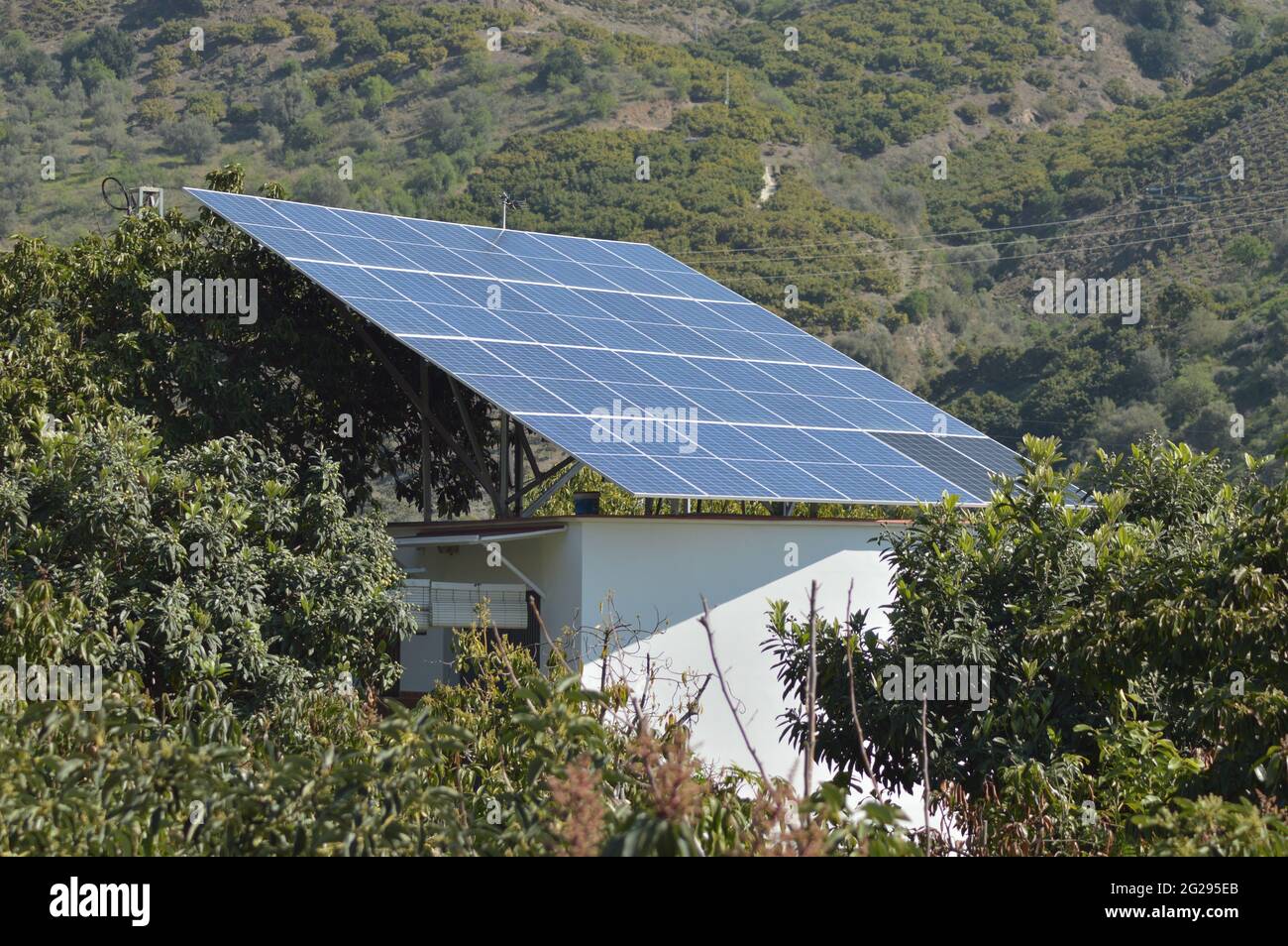Solar panel installation in a agricultural plantation Stock Photo - Alamy