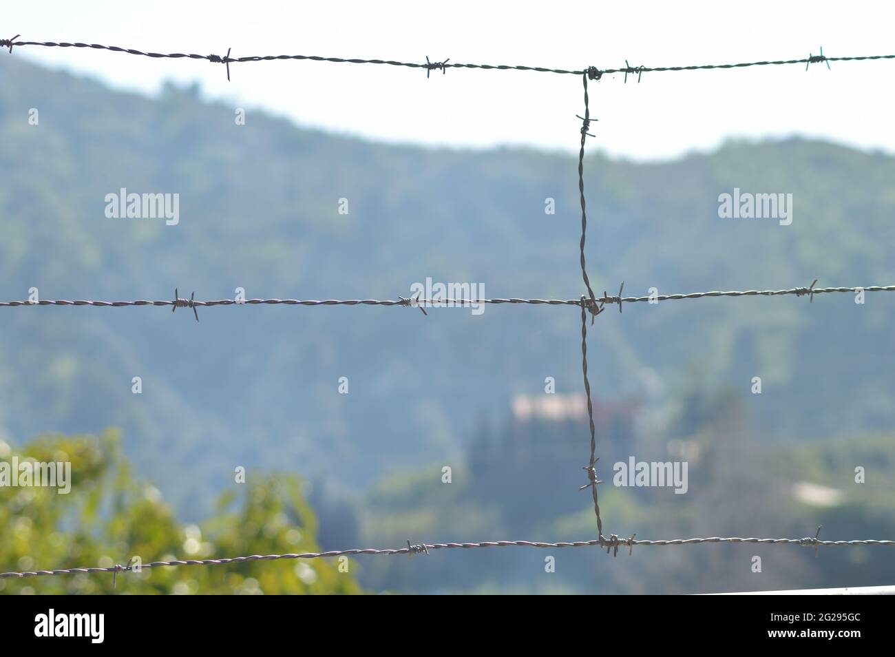 Wire fence barbed with thorns a sunny day in a field Stock Photo - Alamy