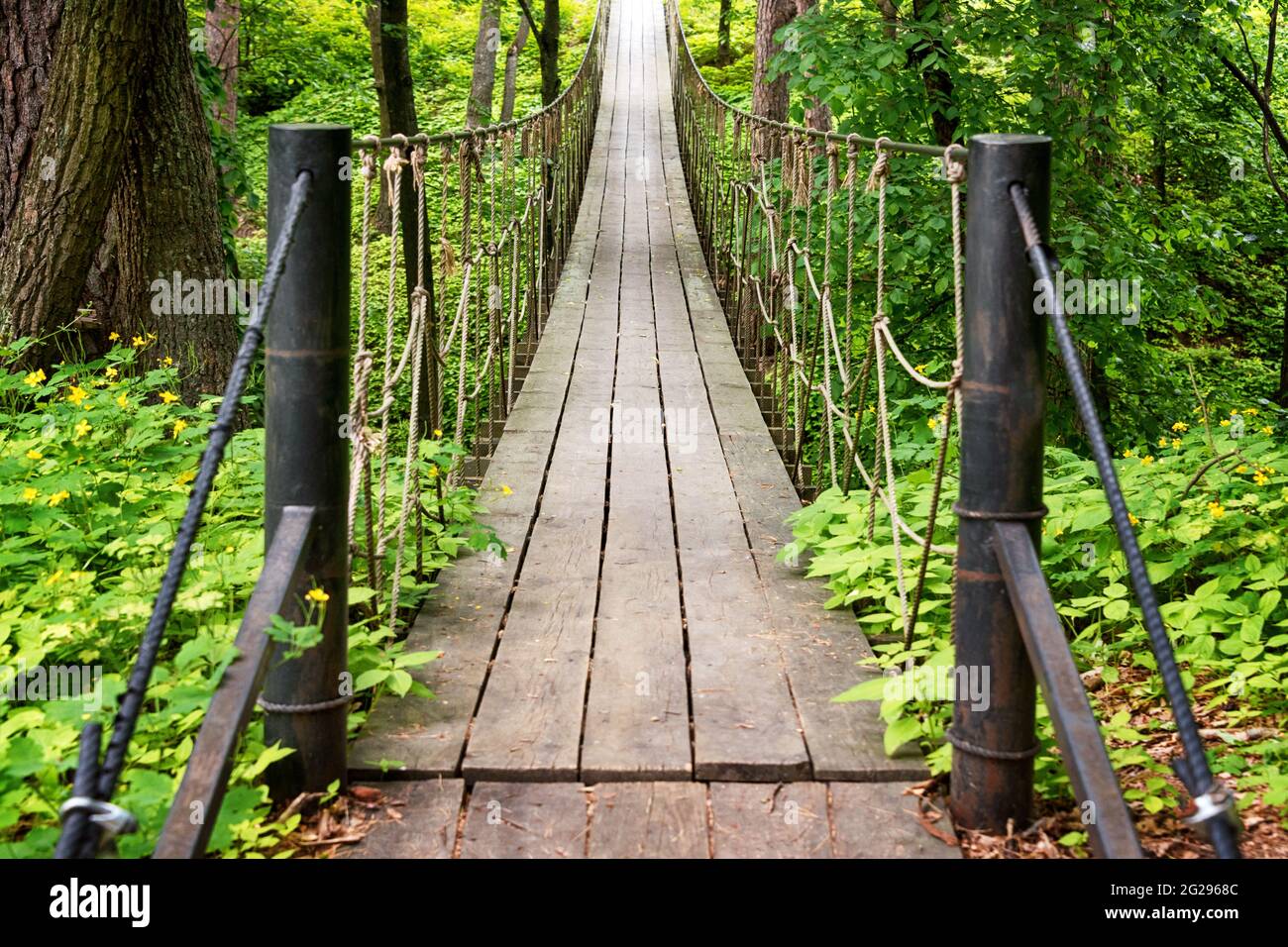 Suspension wooden bridge in the forest. Rope bridge suspended between ...