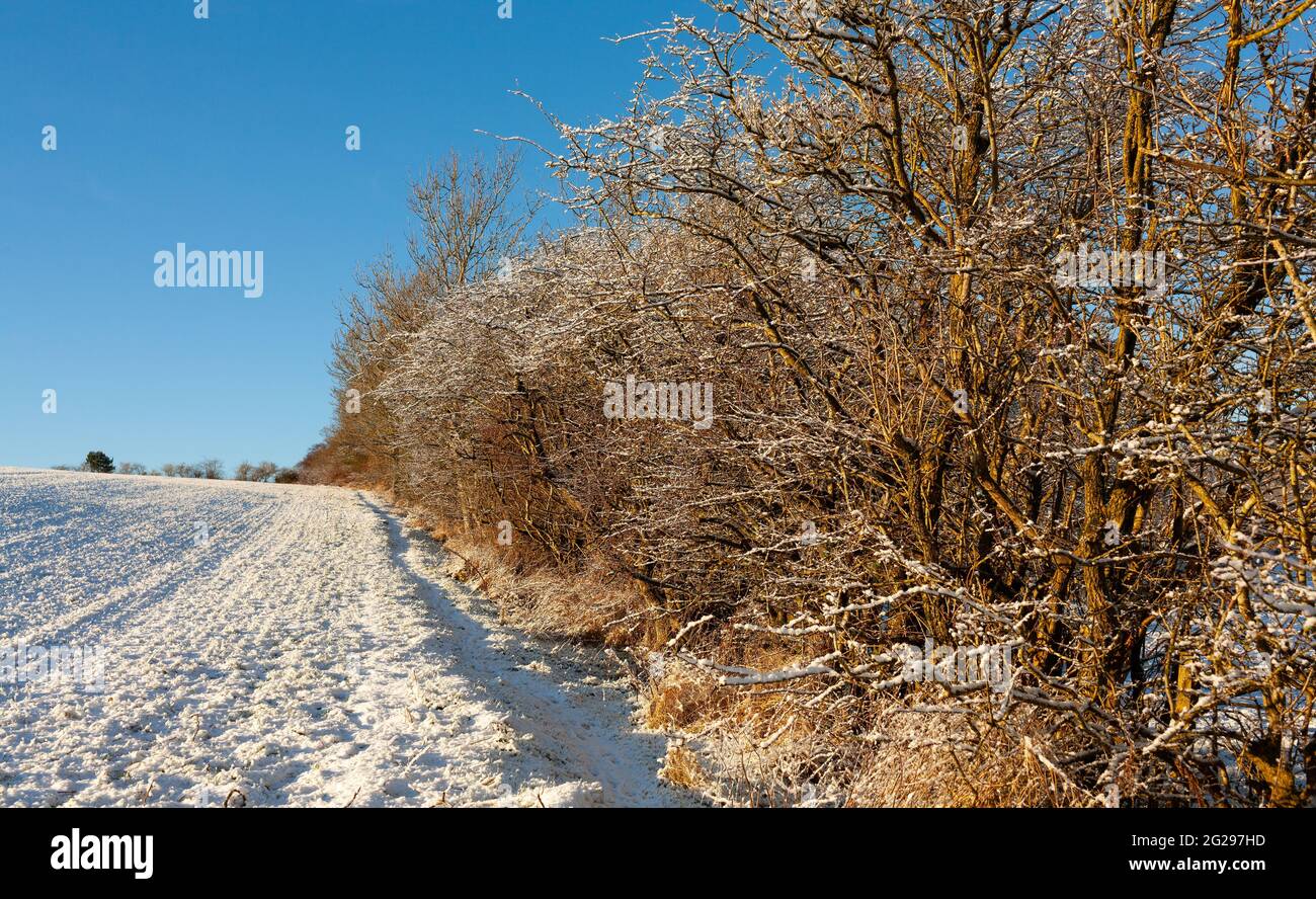 Sloped hill hi-res stock photography and images - Alamy
