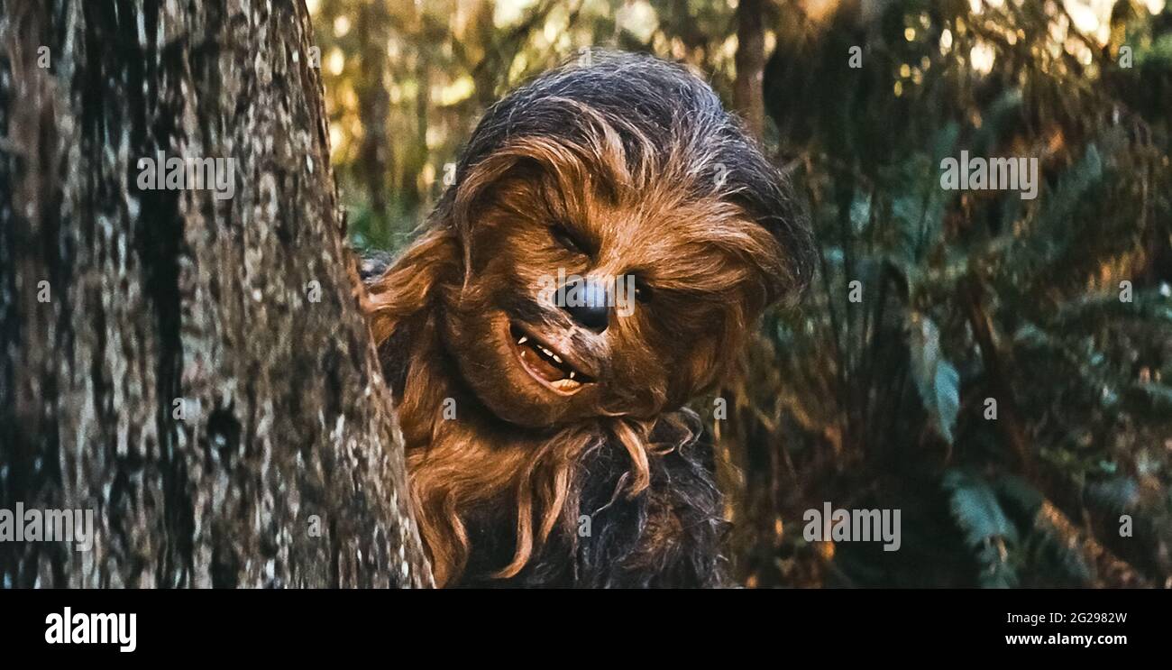 USA. Peter Mayhew as Chewbacca in a scene from the (C)Twentieth Century ...