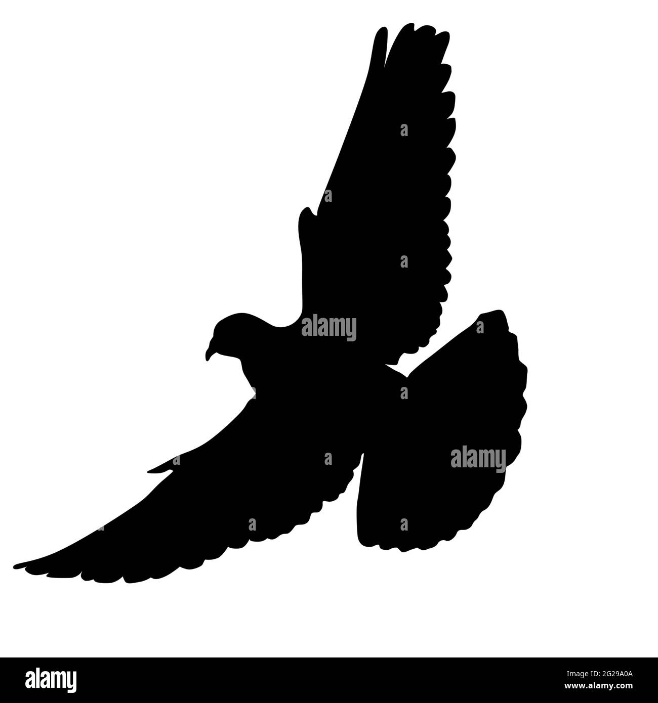 Dove icon Black and White Stock Photos & Images - Alamy