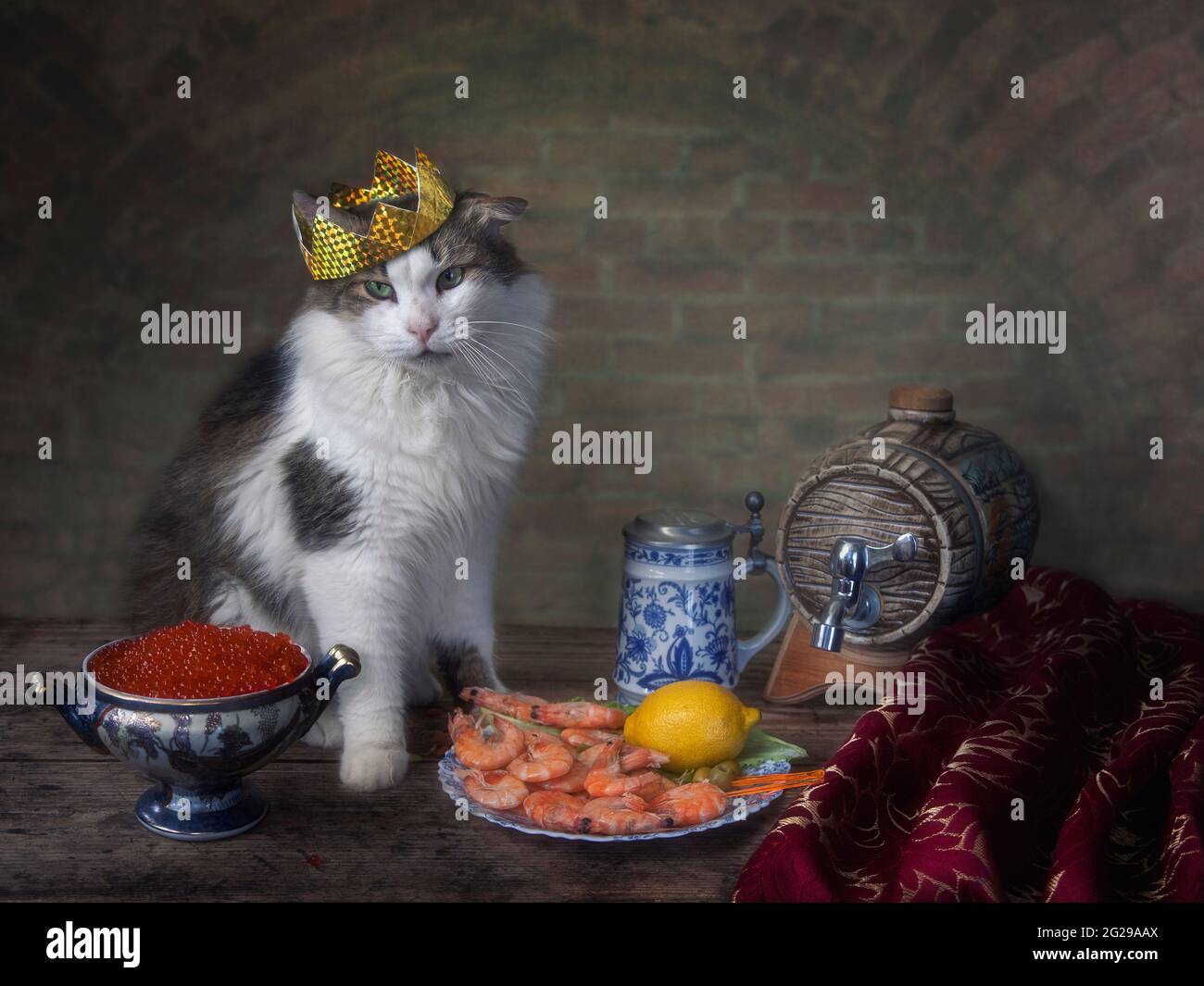 Fluffy spotted cat and plate of shrimp Stock Photo - Alamy