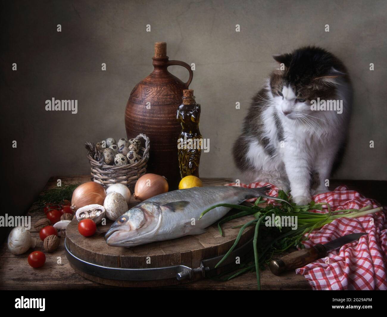 Still life with fish and curious cat Stock Photo - Alamy