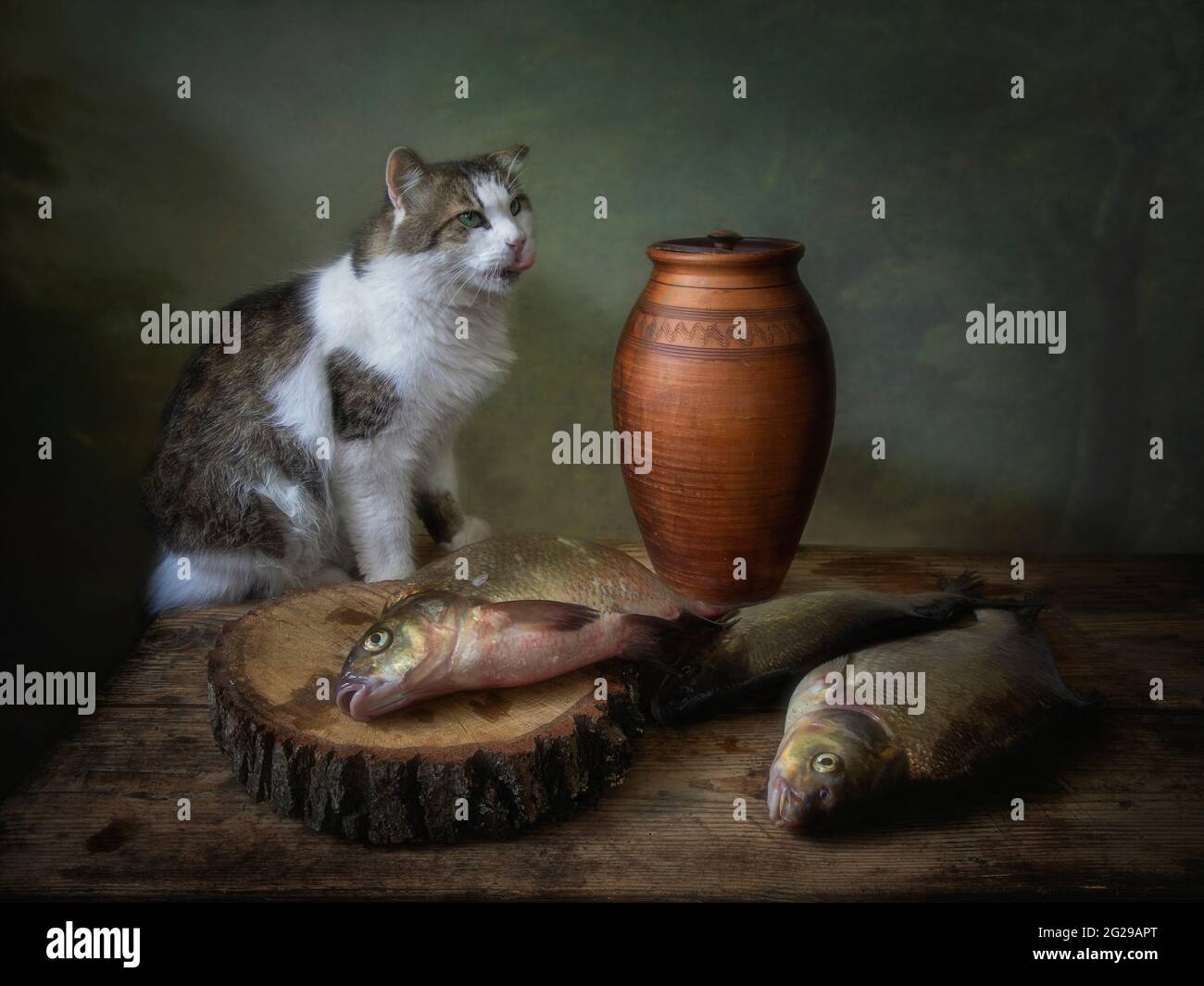 Still life with fish and curious cat Stock Photo - Alamy