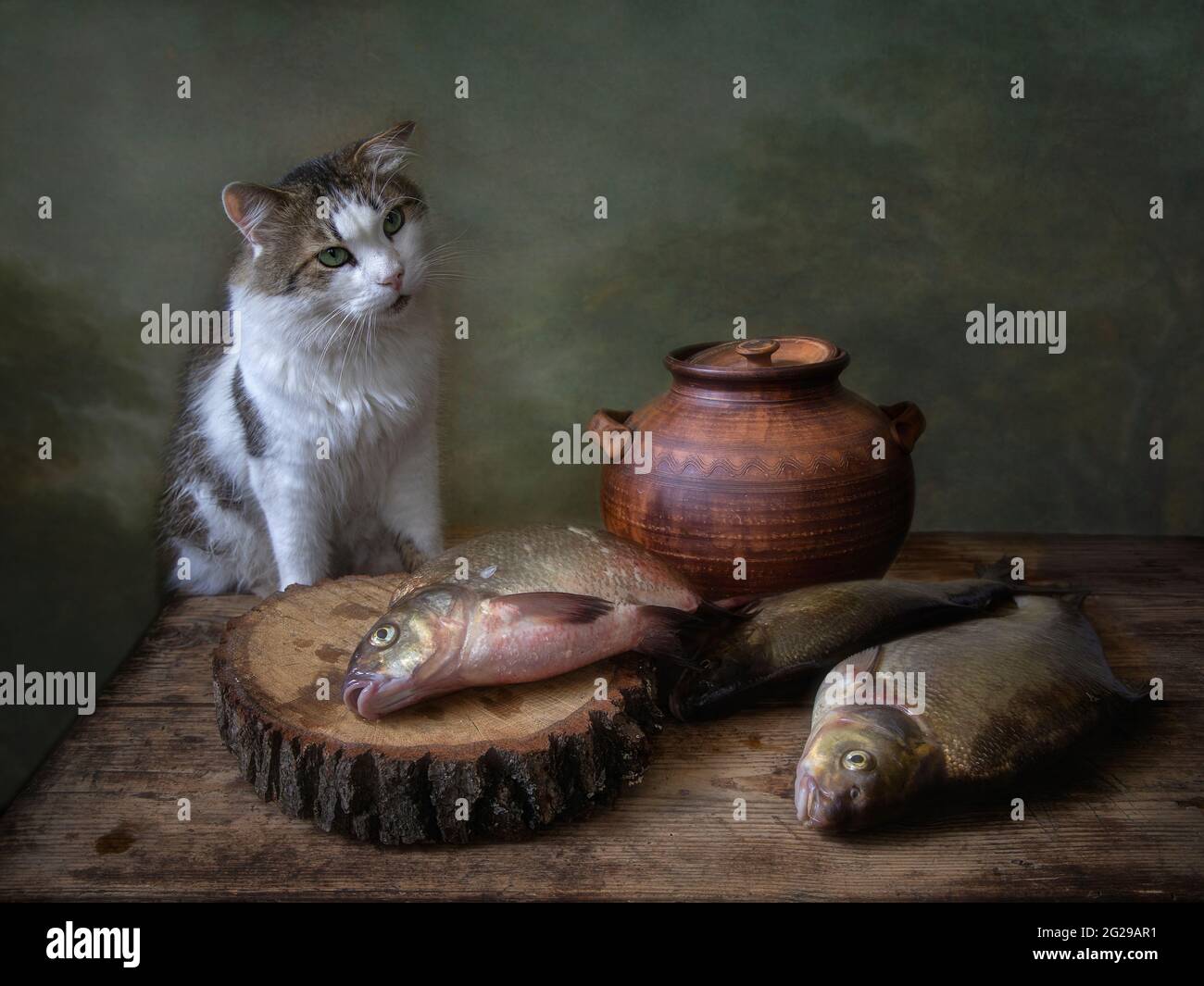 Still life with fish and curious cat Stock Photo - Alamy