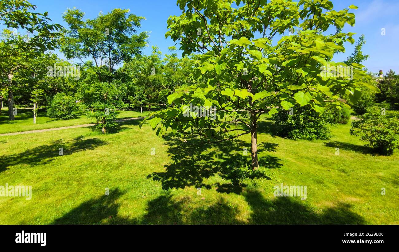 Sunny morning beautiful natural hi-res stock photography and images - Alamy
