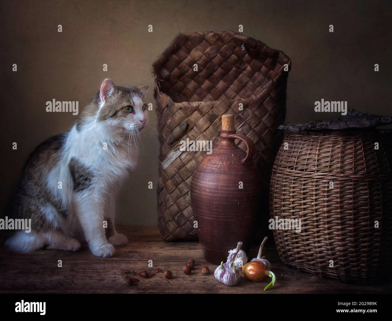 Curious cat in the old pantry Stock Photo - Alamy