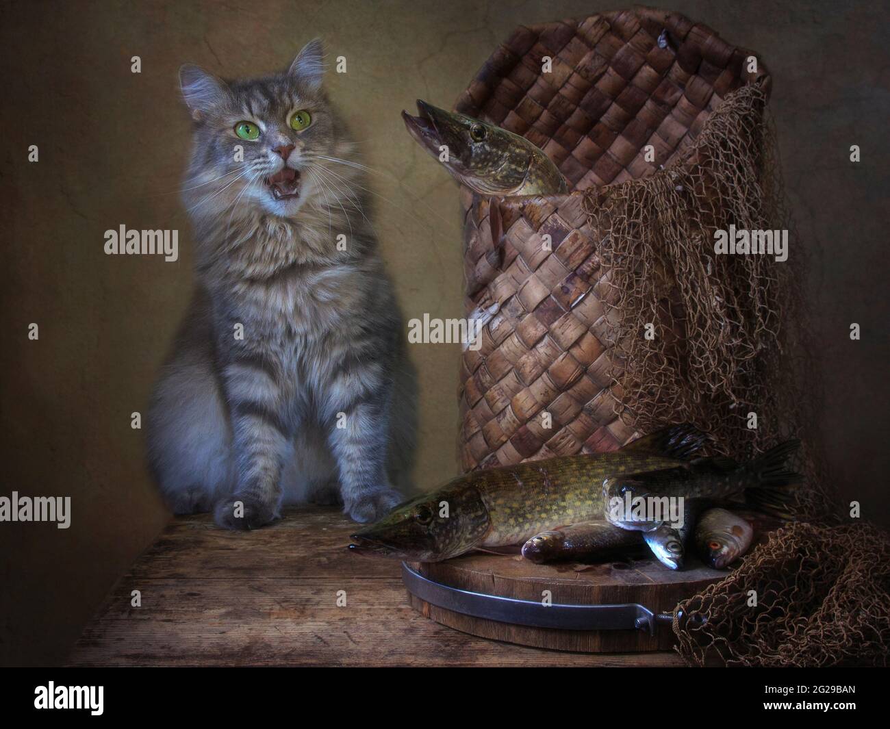 Pictures pike hi-res stock photography and images - Alamy