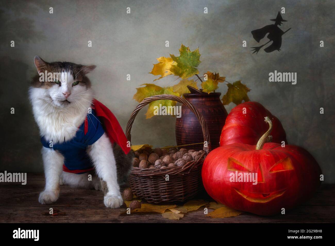 Funny white red spotted hi-res stock photography and images - Alamy