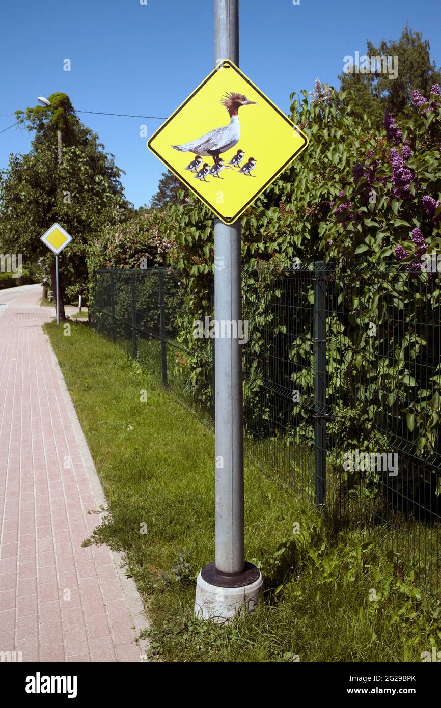 Traffic raod sign hi-res stock photography and images - Alamy