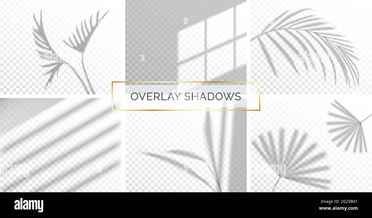 Shadows overlay palm leaf Stock Vector Images - Alamy