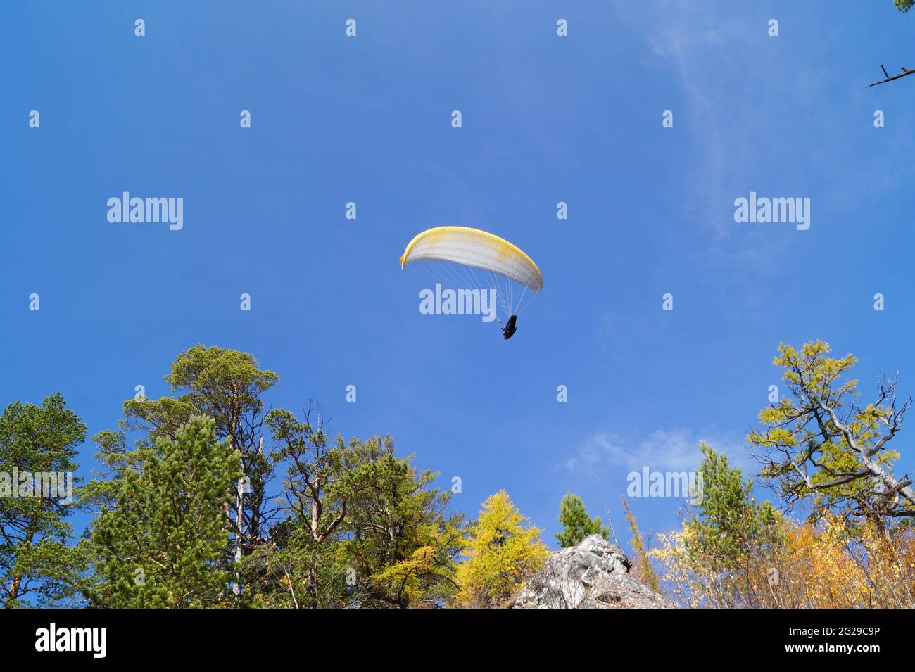 Flying over green tree tops hi-res stock photography and images - Alamy