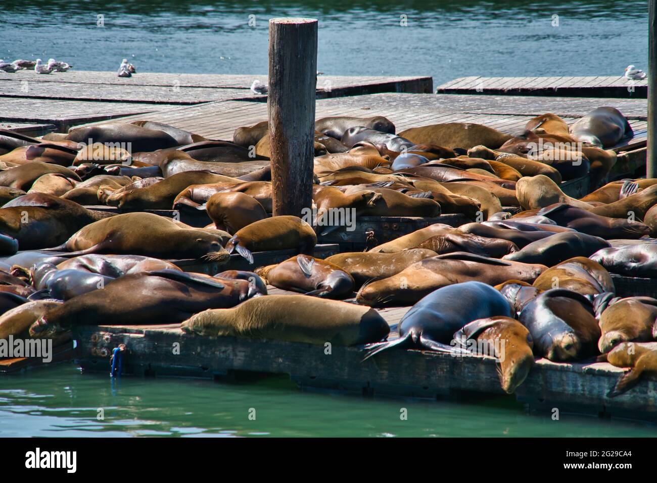 Crowded fishing pier hi-res stock photography and images - Alamy