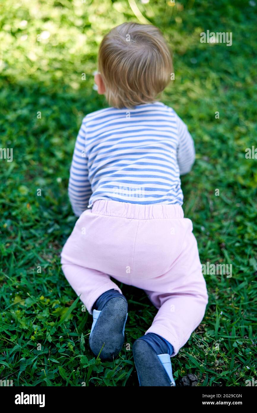 Baby is crawling along a green lawn. Top view Stock Photo - Alamy
