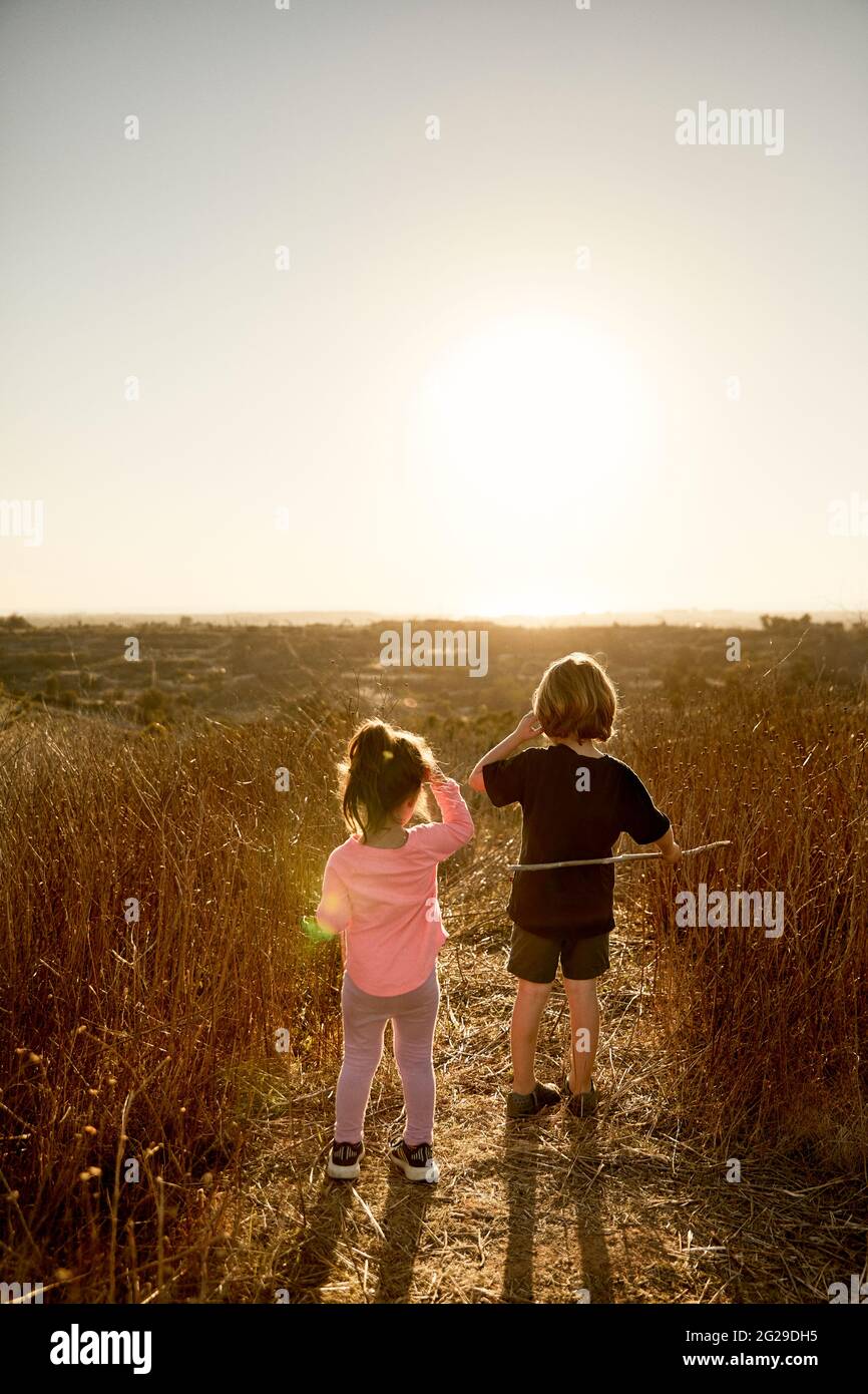 Rear view of brother and sister looking at view while standing on field ...