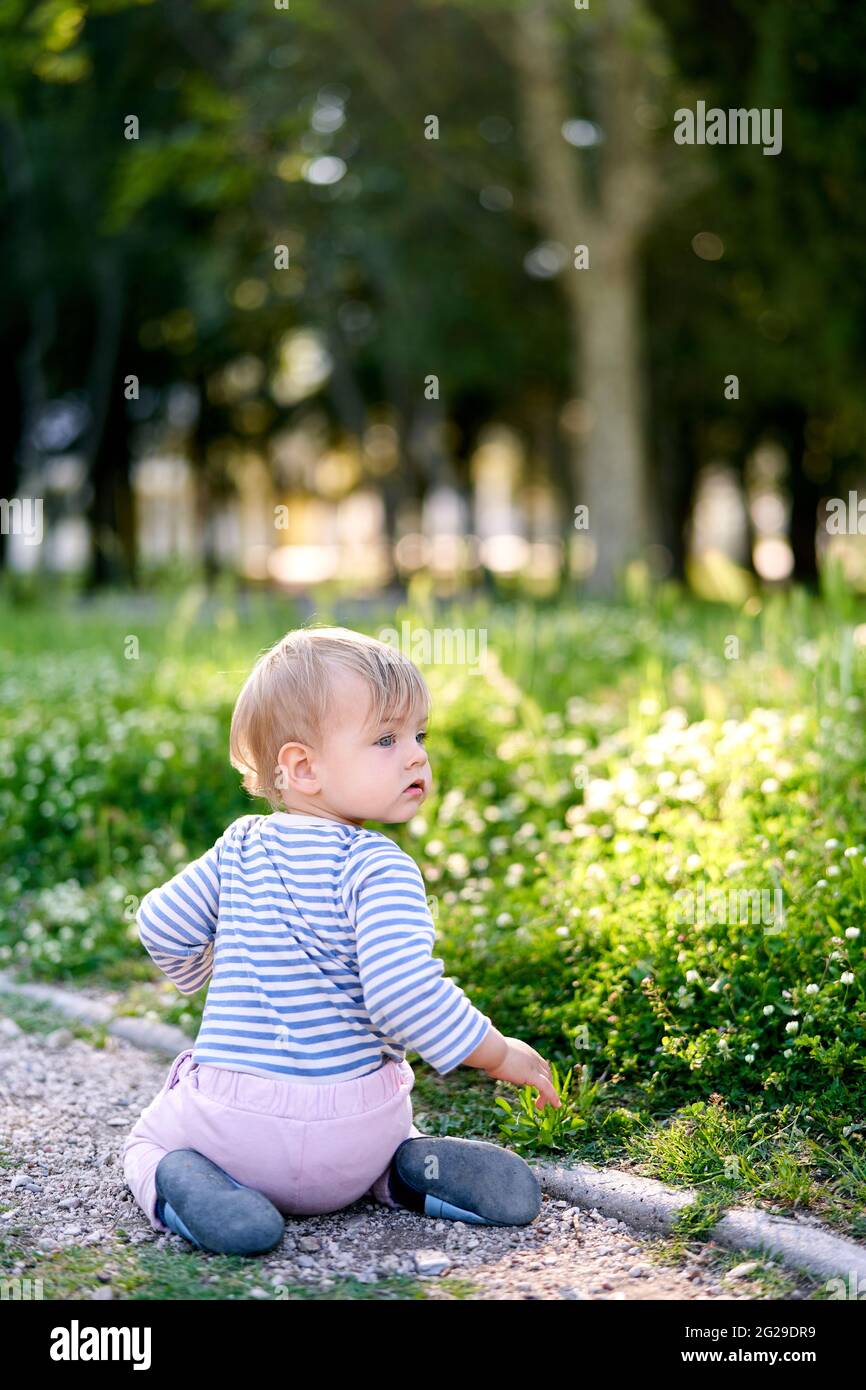 Little child kneels on the path near the green lawn with his head ...