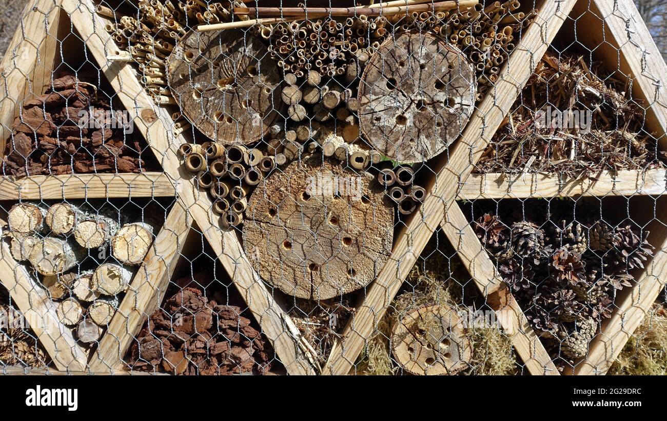 Natural habitat for bugs and insects hi-res stock photography and ...