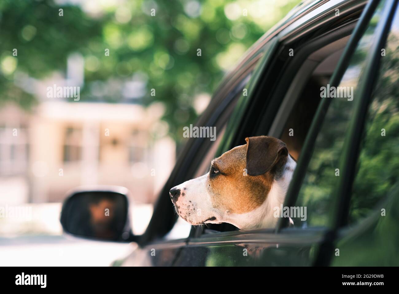 Car side window open hi-res stock photography and images - Alamy