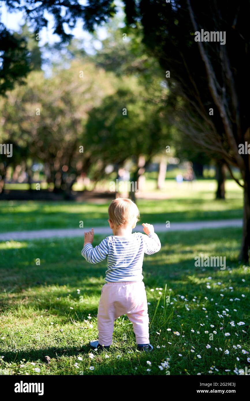 Small child walks along a green lawn. Back view Stock Photo - Alamy