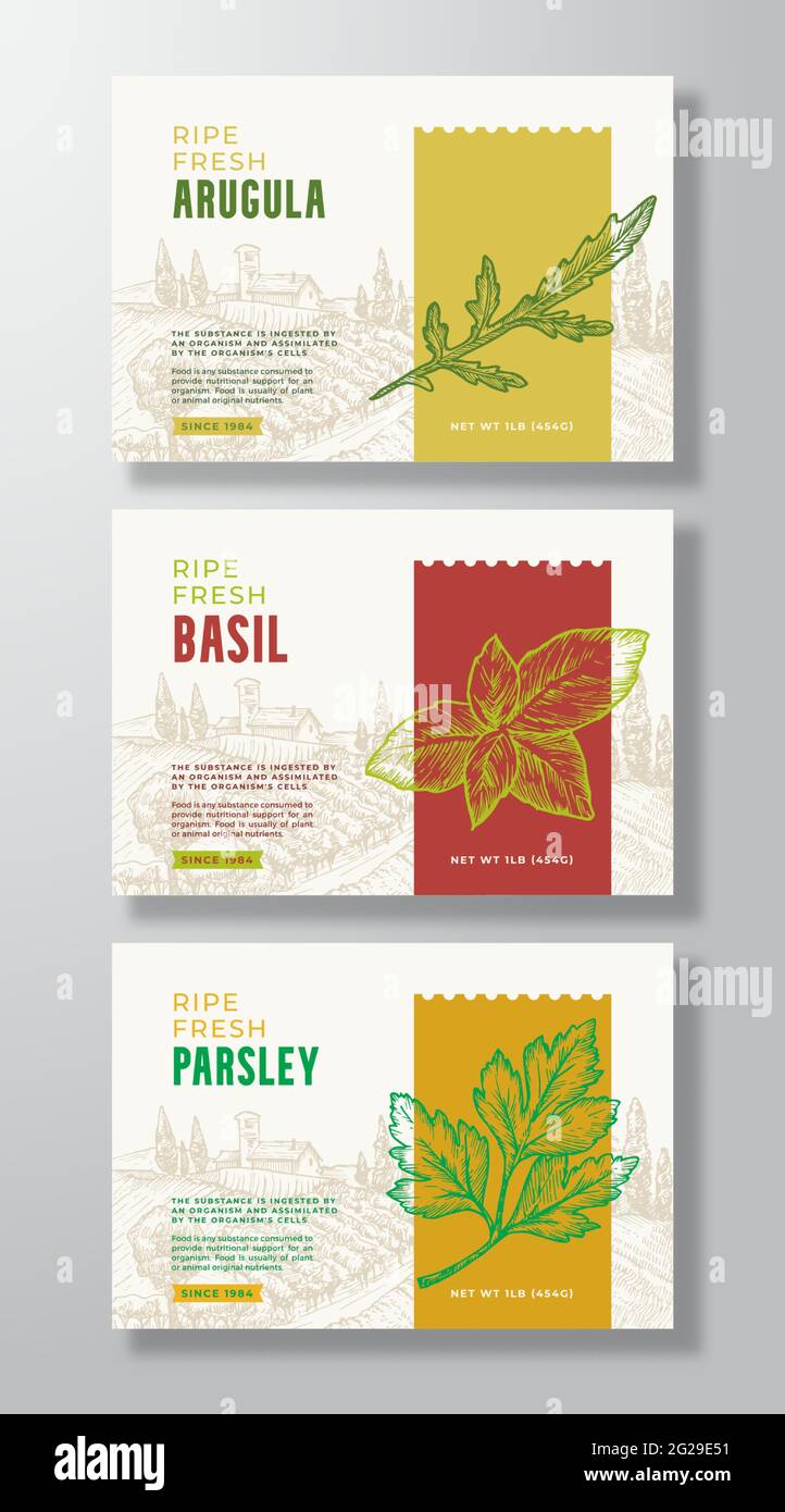 Fresh Local Food Label Templates Set. Abstract Vector Packaging Design ...