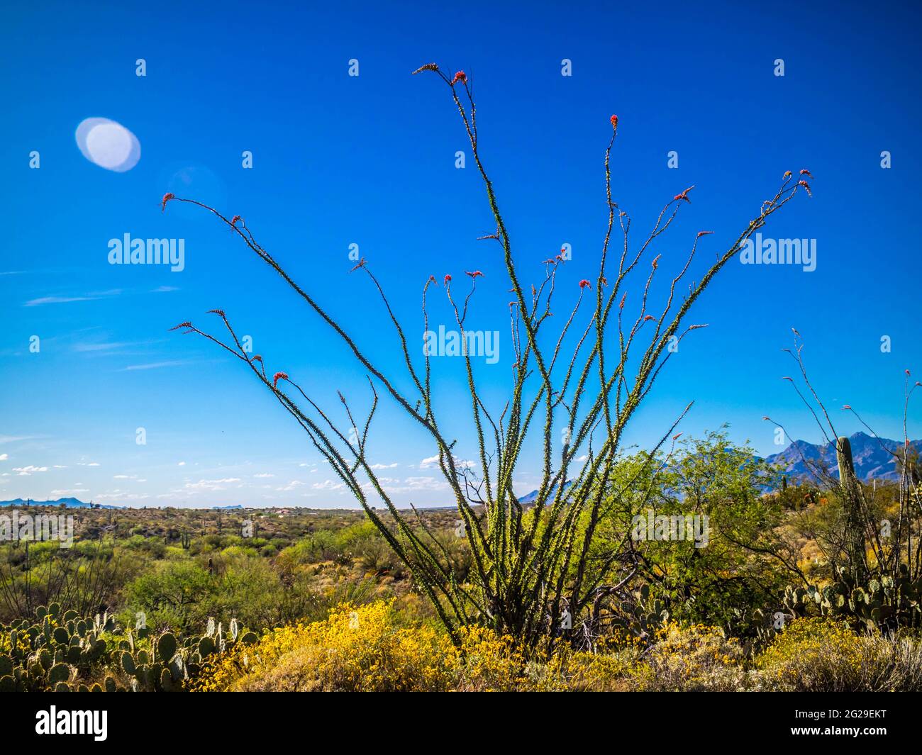 Np national park hi-res stock photography and images - Alamy