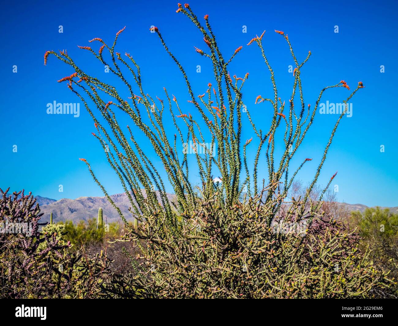 Np national park hi-res stock photography and images - Alamy