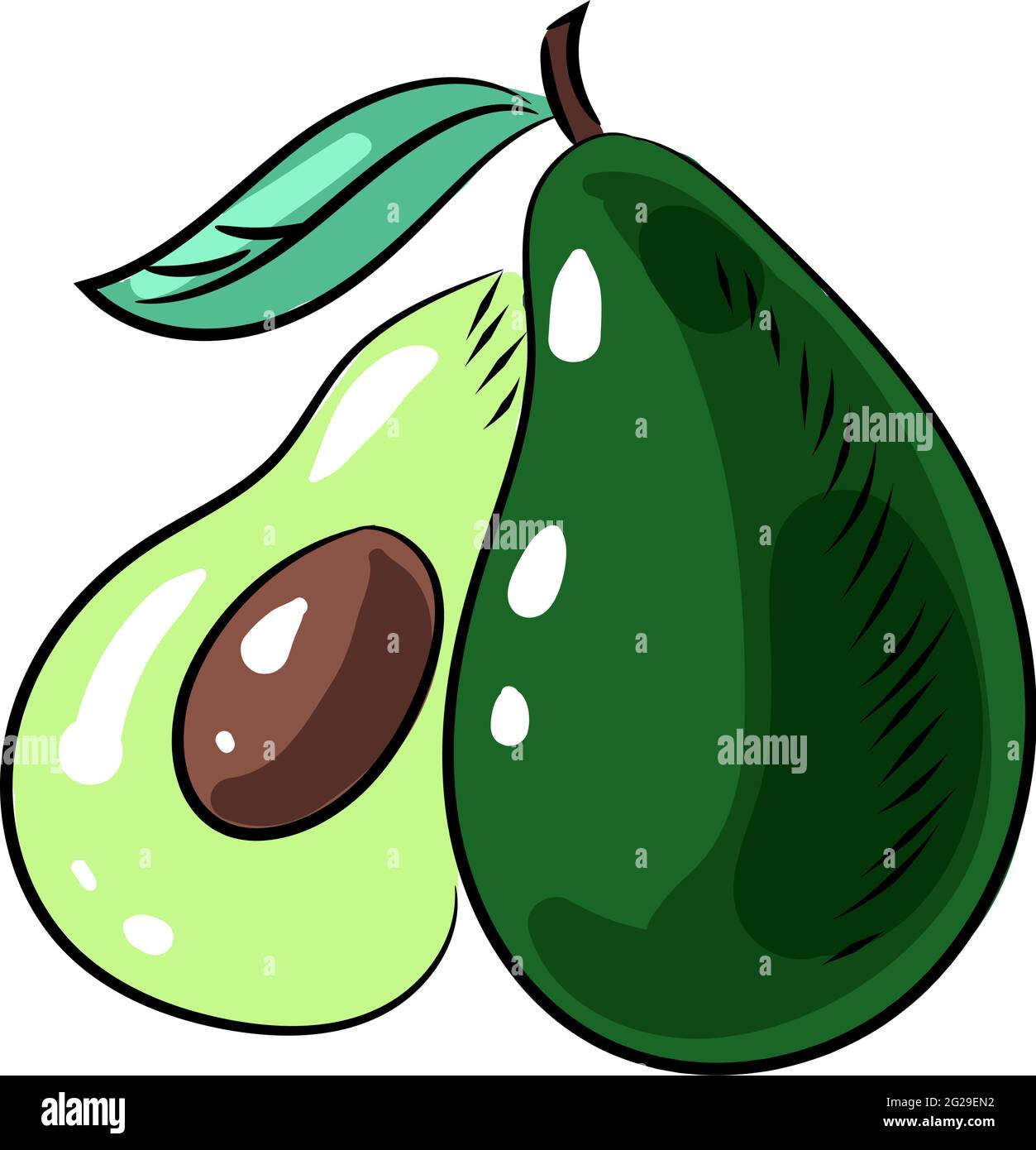 Vector avocado illustration icon fruit isolated cartoon Stock Vector ...