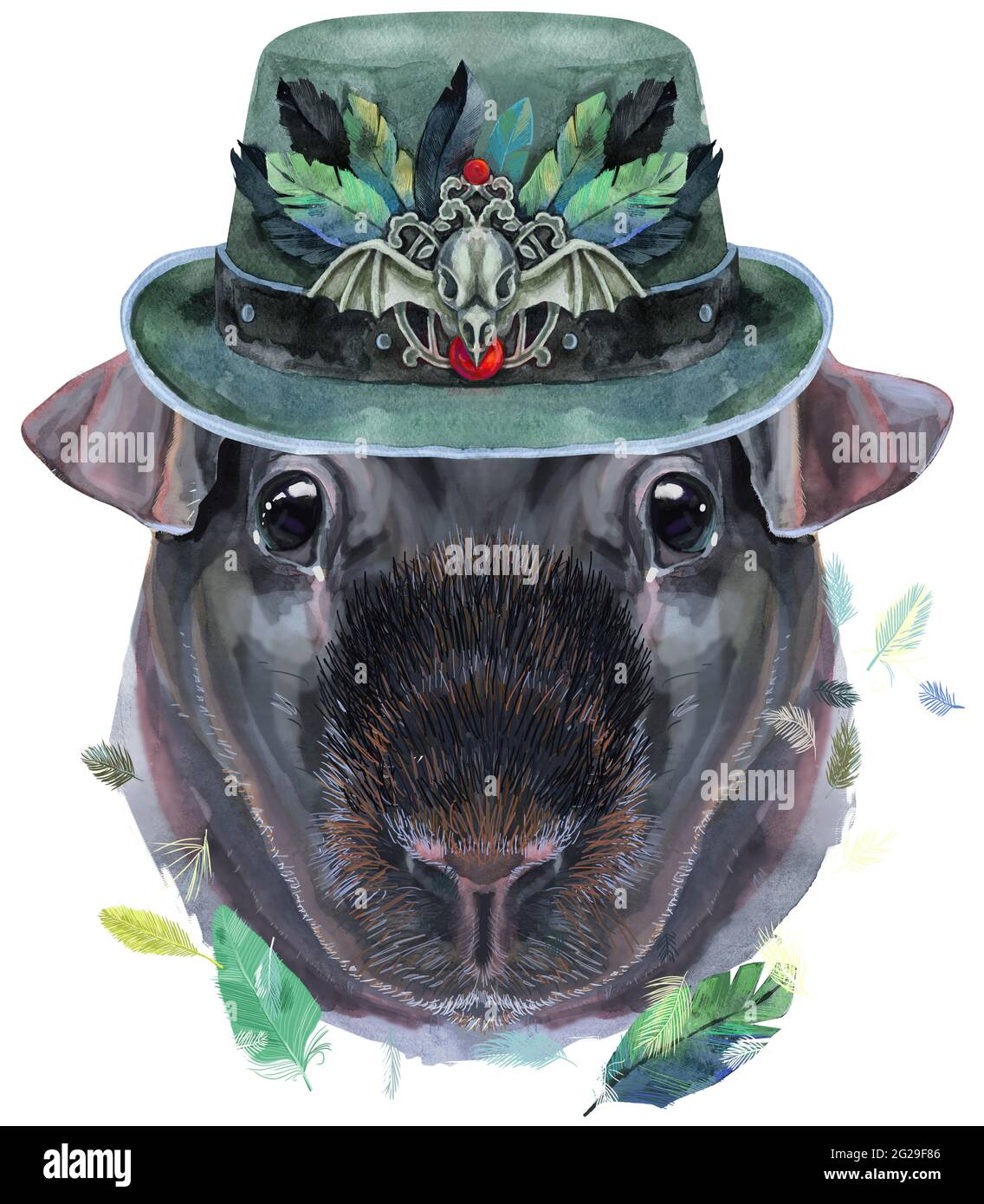 Guinea pig hat hi-res stock photography and images - Alamy