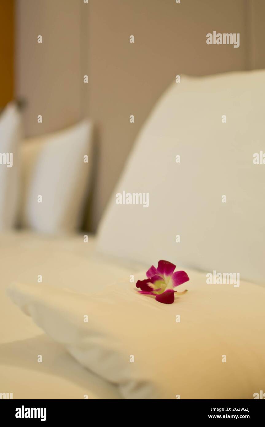 Hotel turndown service hi-res stock photography and images - Alamy