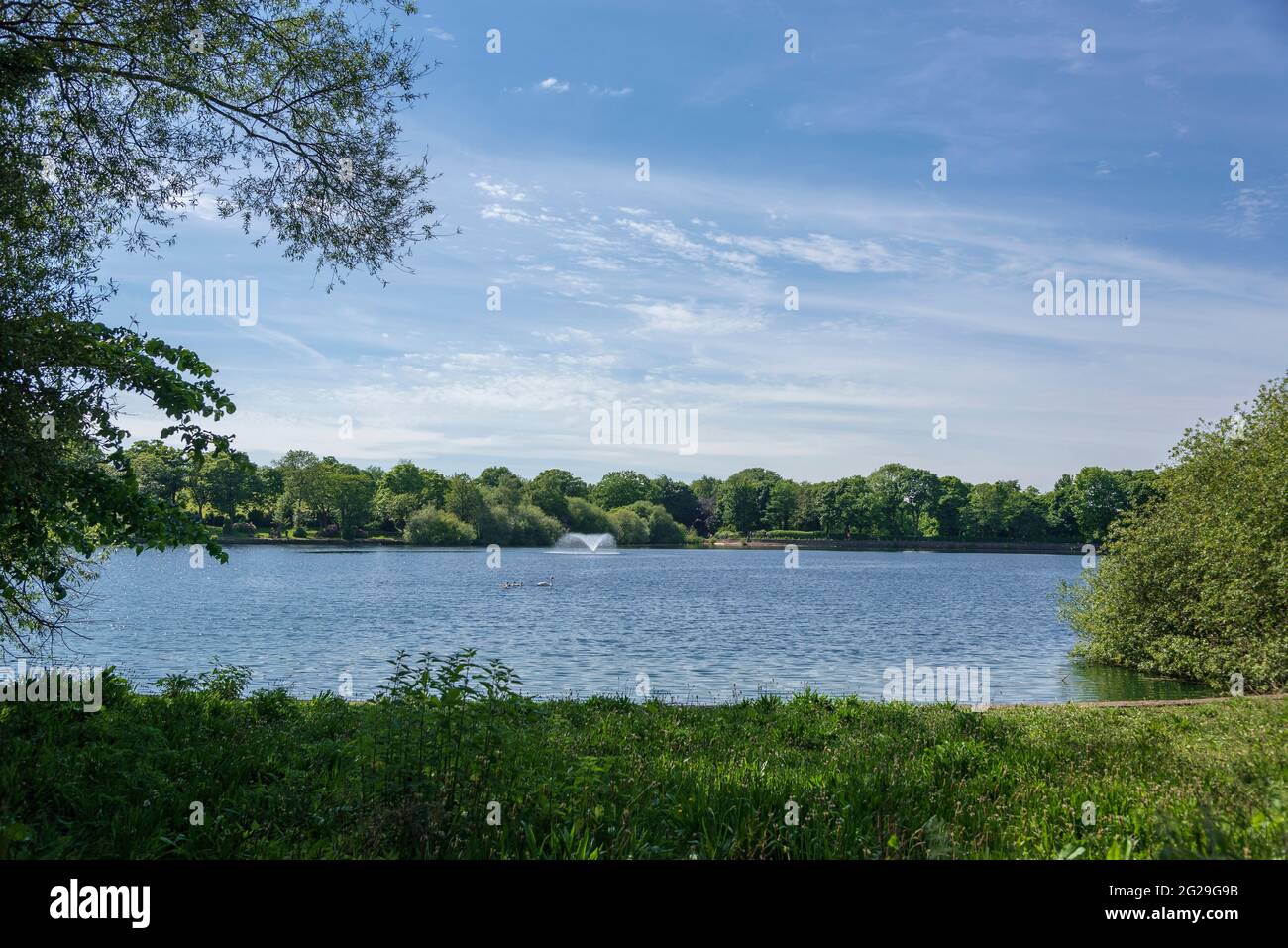 Taylor Park lake and fountain in St. Helens Stock Photo - Alamy