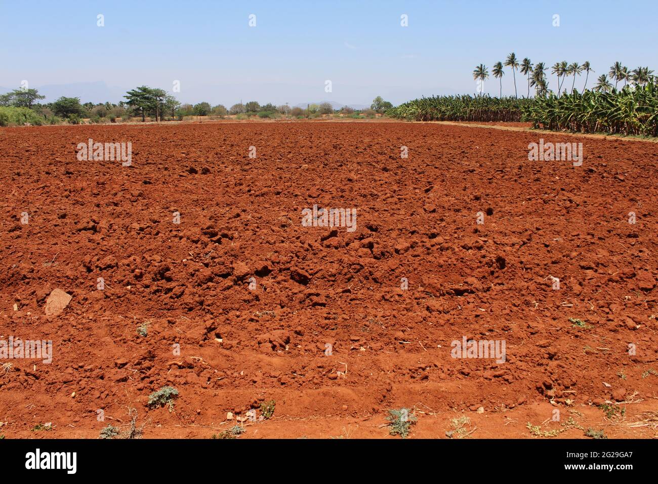High density farming hi-res stock photography and images - Alamy
