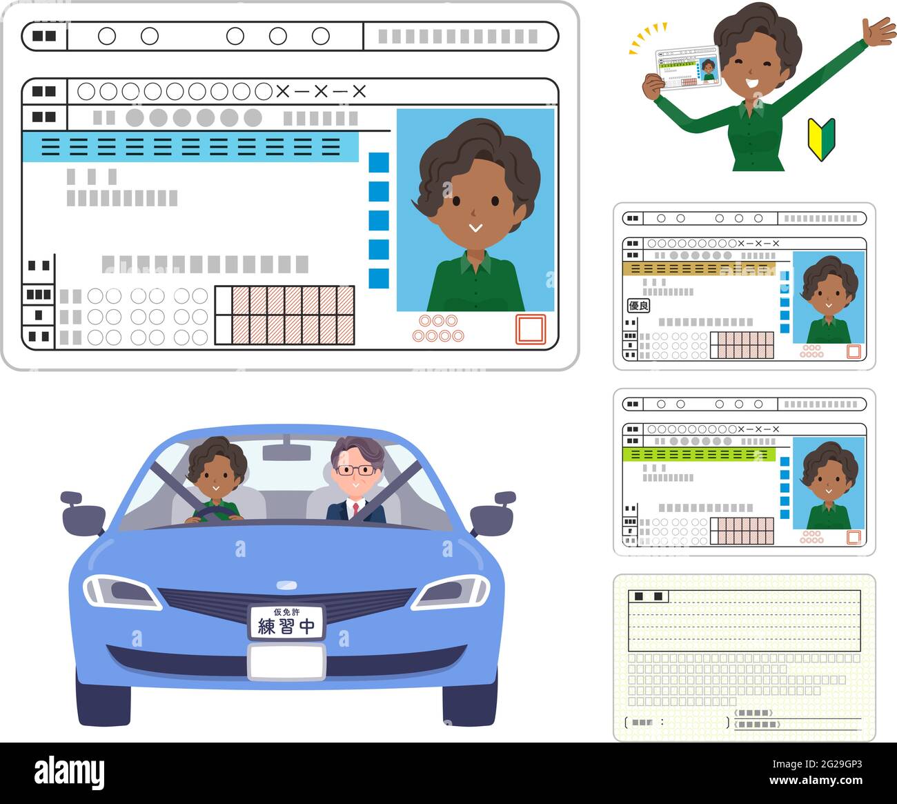 Drivers License Vector Vectors High Resolution Stock Photography and ...