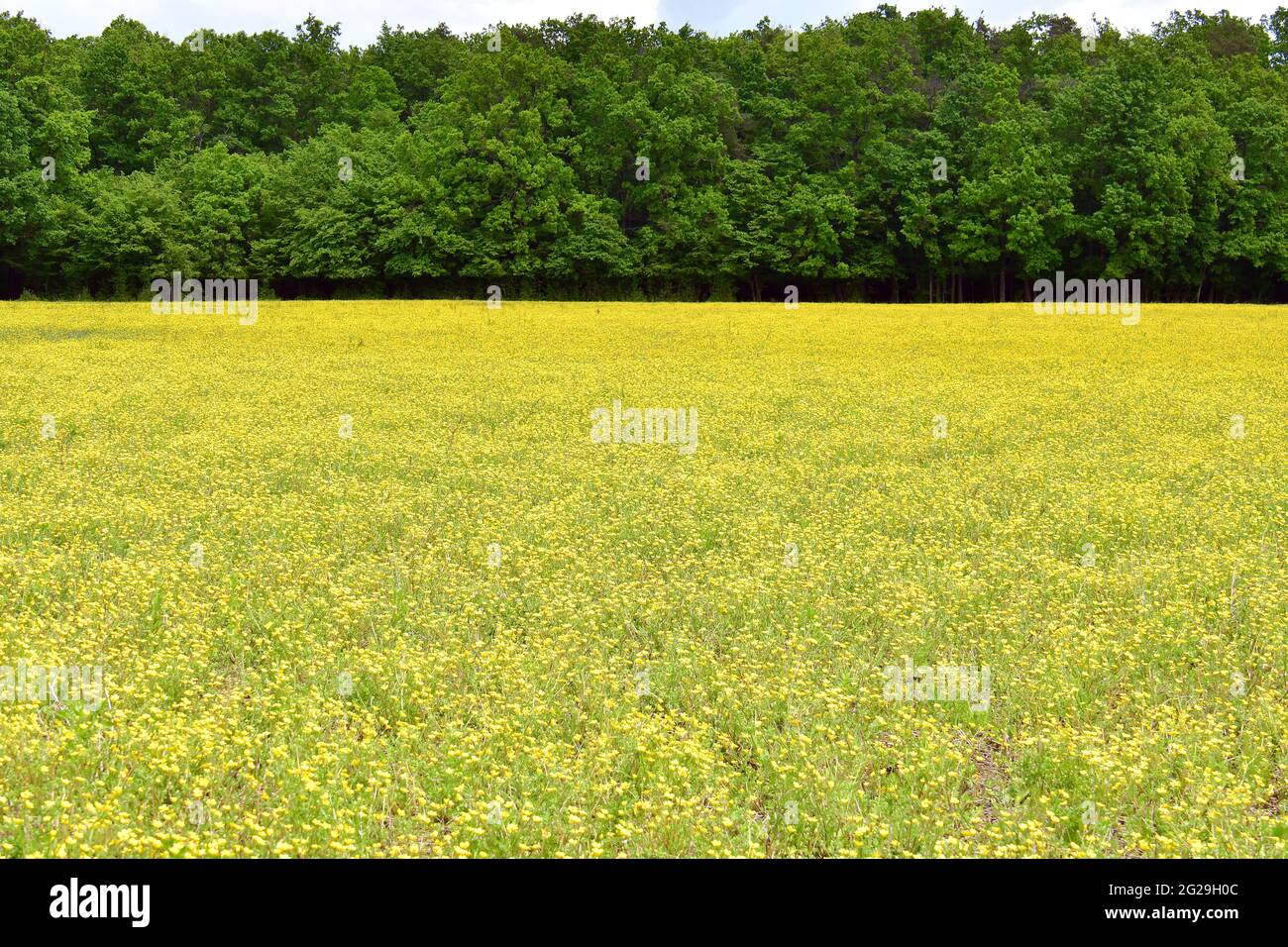 Lon 16 34967100 hi-res stock photography and images - Alamy