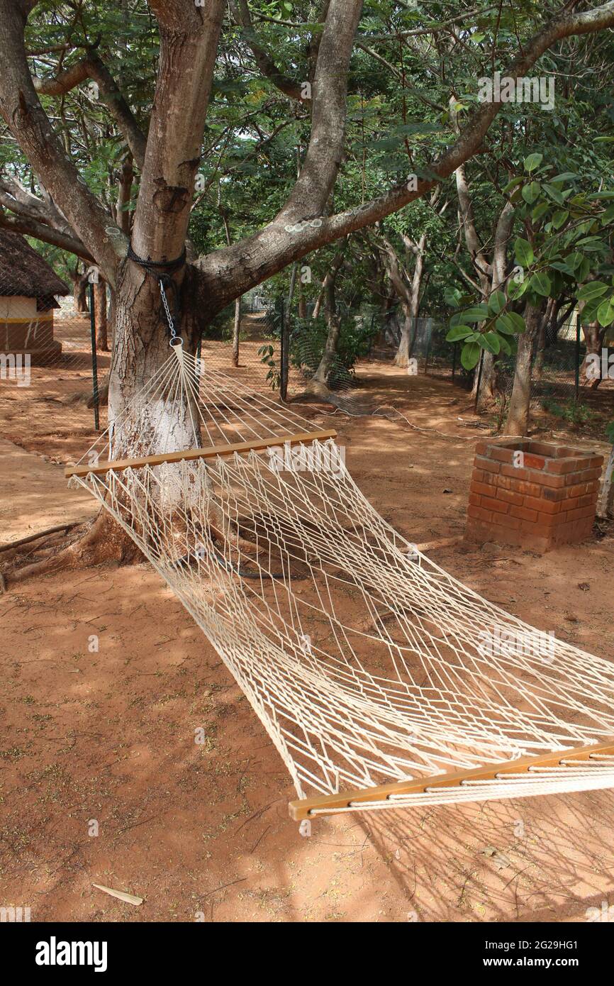 Jain farms in Bangalore - Day outing Stock Photo - Alamy