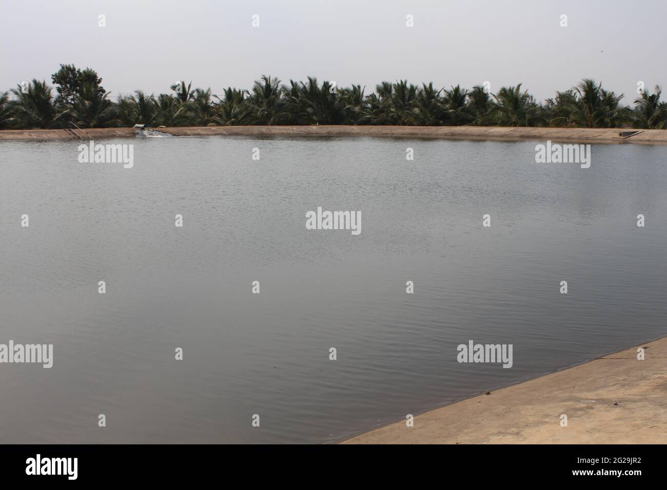 Udumalpet hi-res stock photography and images - Alamy