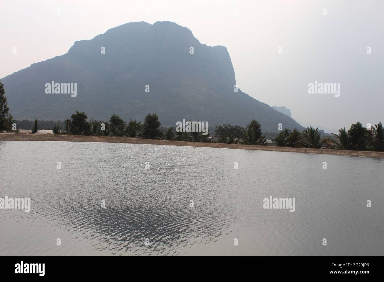 Lake in the middle of farm at udumalpet Stock Photo - Alamy