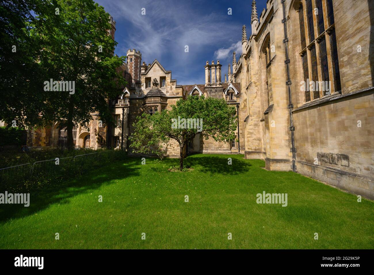 Cambridge apple tree hi-res stock photography and images - Alamy